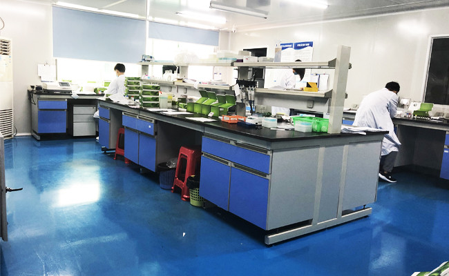 China Shenzhen Wensidun Technology Co., Ltd. factory production line